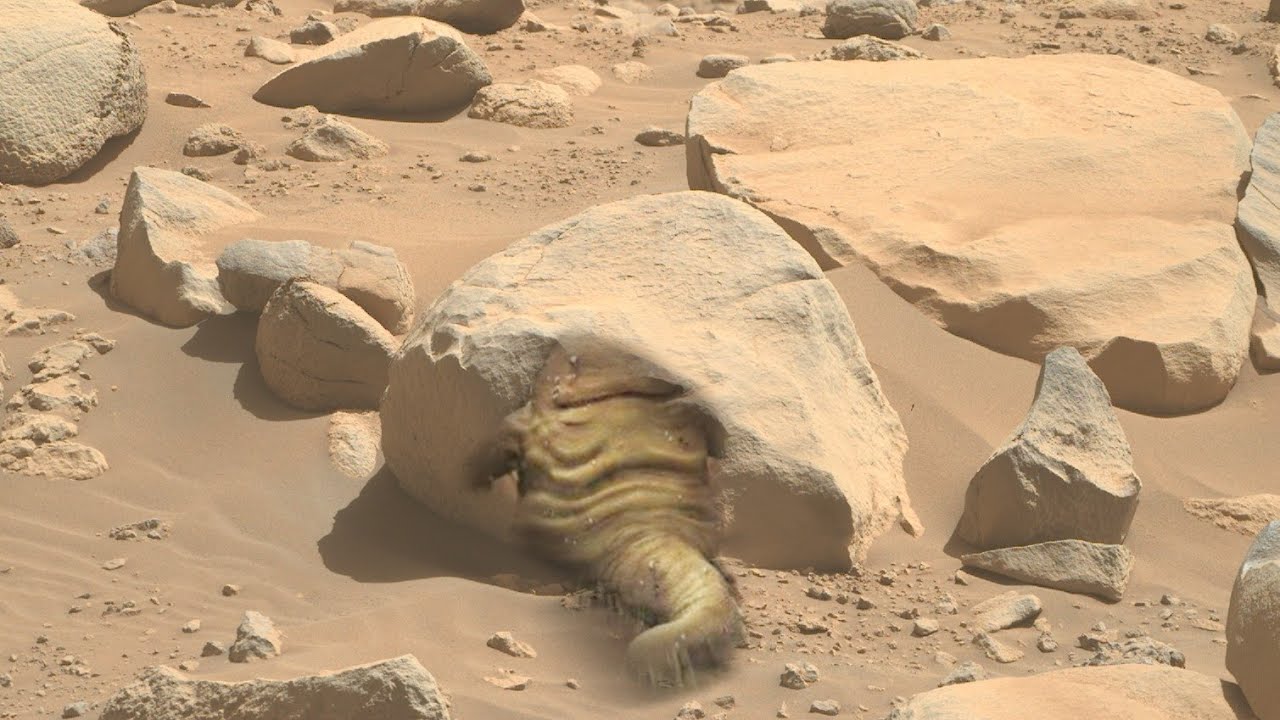 Perseverance Rover Captured a New Video Footage of Mars || New Mars ...