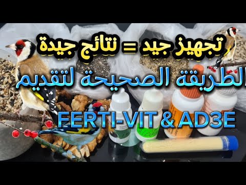 الطريقة الصحيحة و الصحية لتقديم ferti-vit و ad3e للحسون | التجهيز الجيد ...