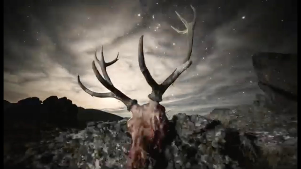 Red Stag Hunting with the HUNTERS CLUB - YouTube