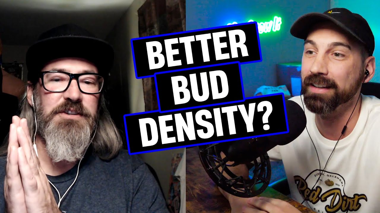 CO2 Impact To Bud Density! - YouTube