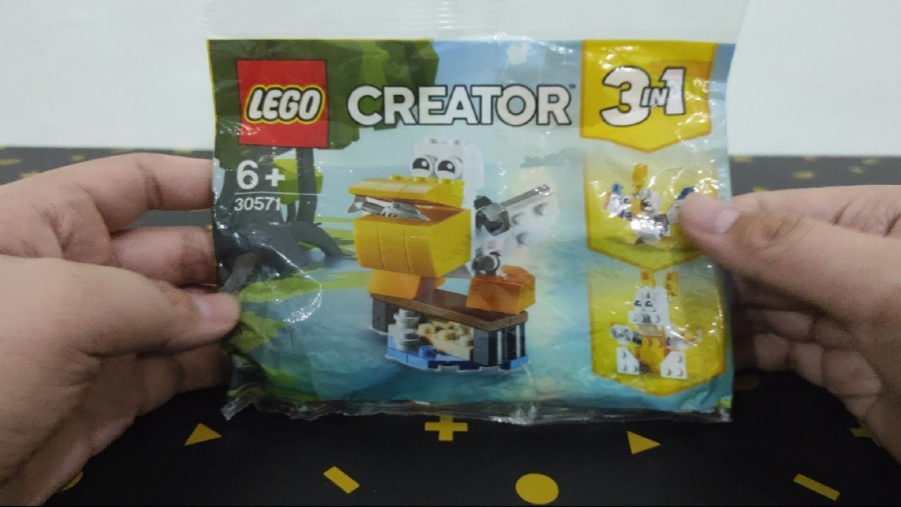 LEGO CREATOR - 30571 - Pelican - Speed Build - YouTube