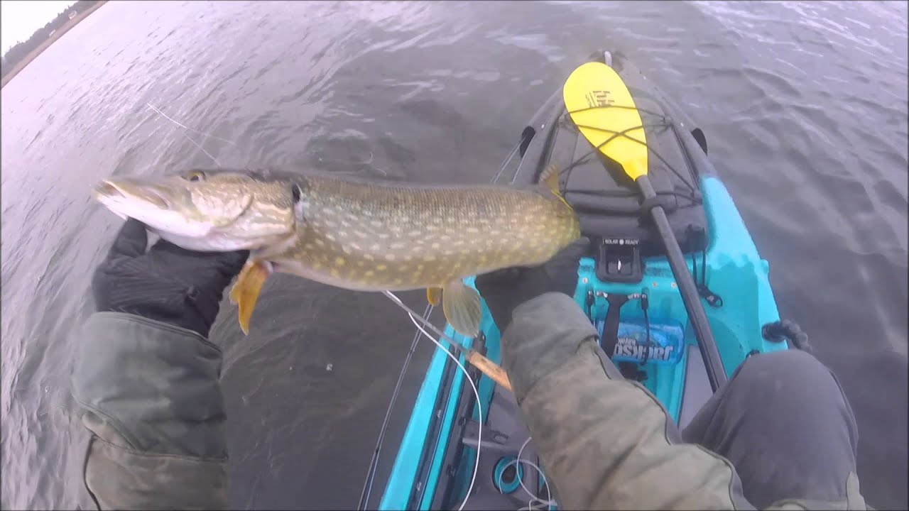 Nya Jackson Coosa HD - 2016 - YouTube