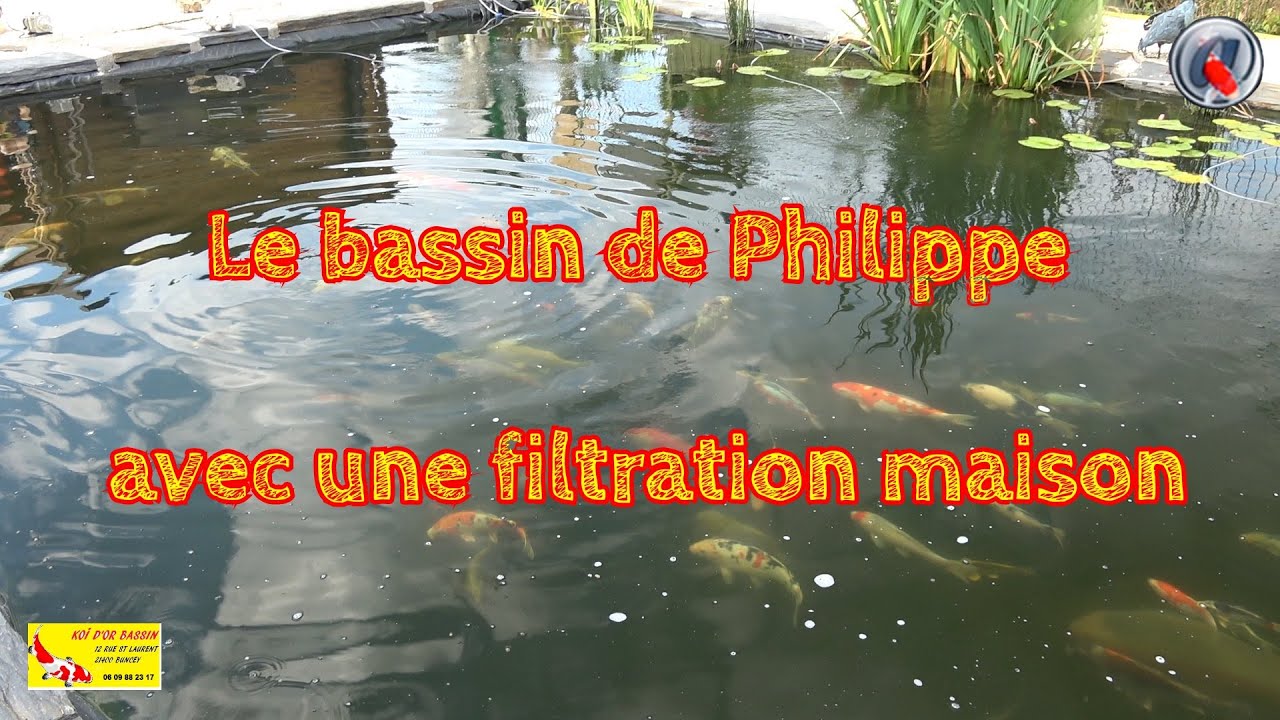 Le bassin de Philippe avec une filtration maison - YouTube