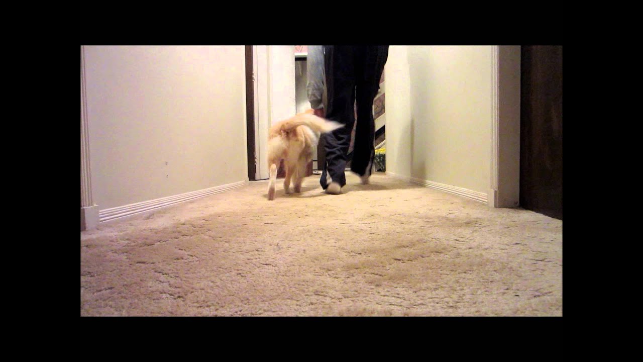 Boo - hand touch work - YouTube