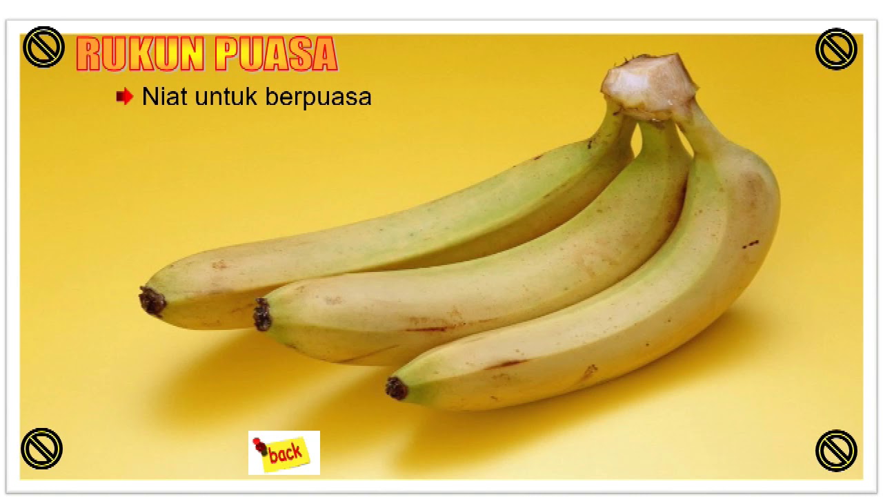 VIDEO BAB PUASA - YouTube