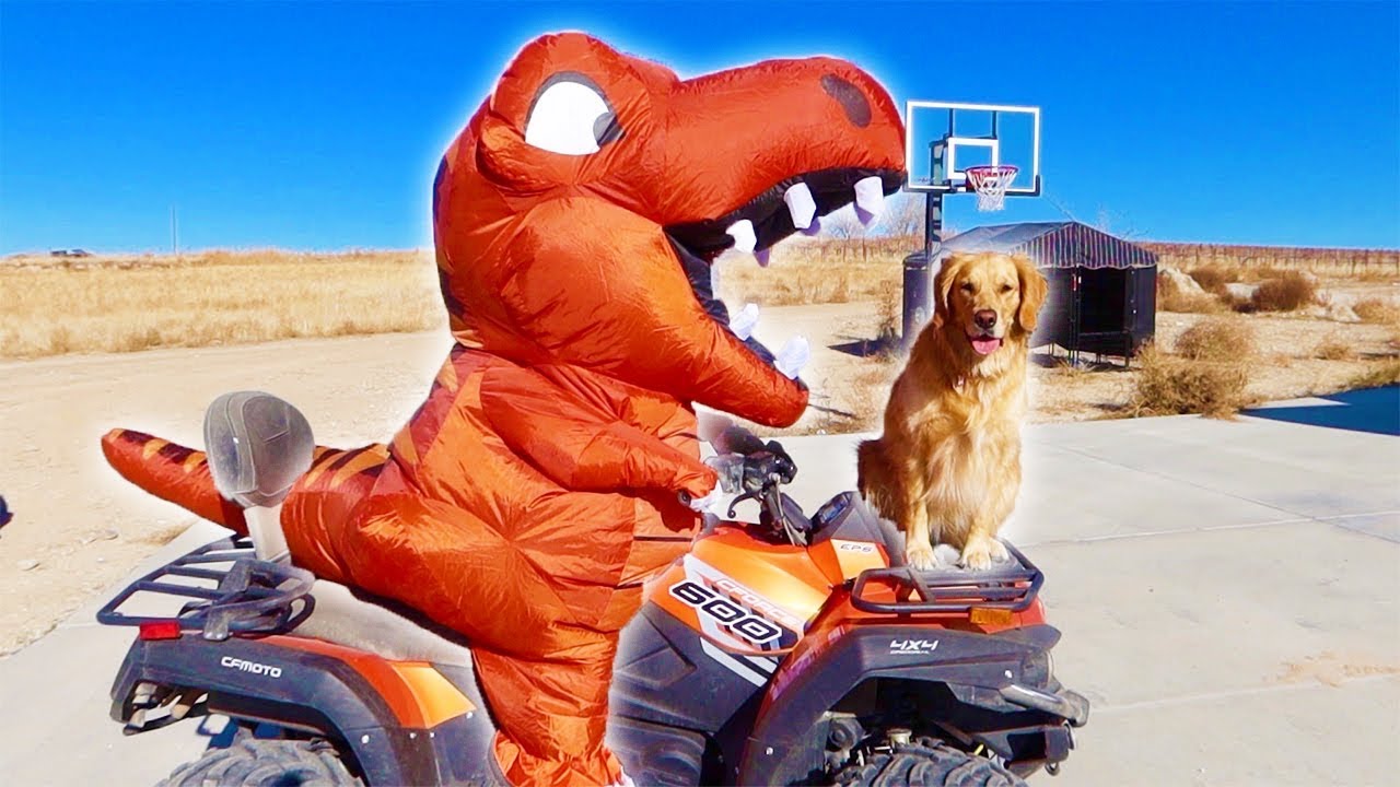 Red T-Rex Plays With Golden Retriever! - YouTube