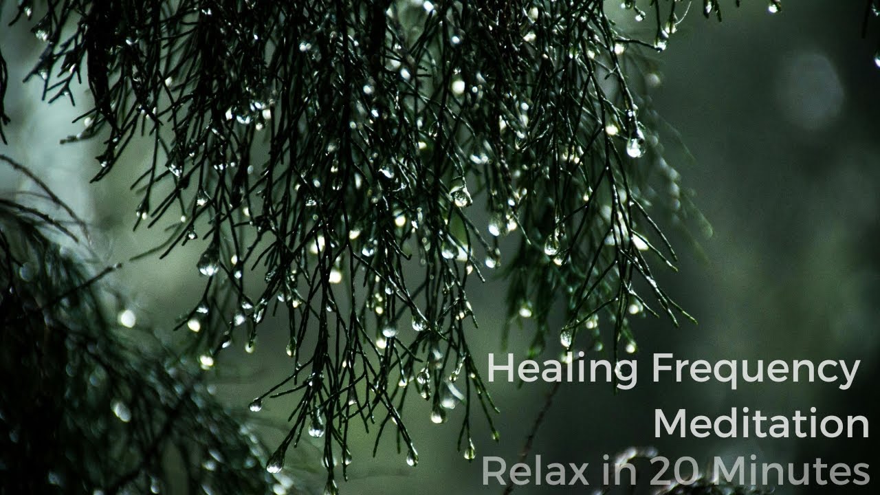 Healing Frequency Meditation Relaxation Meditation - YouTube