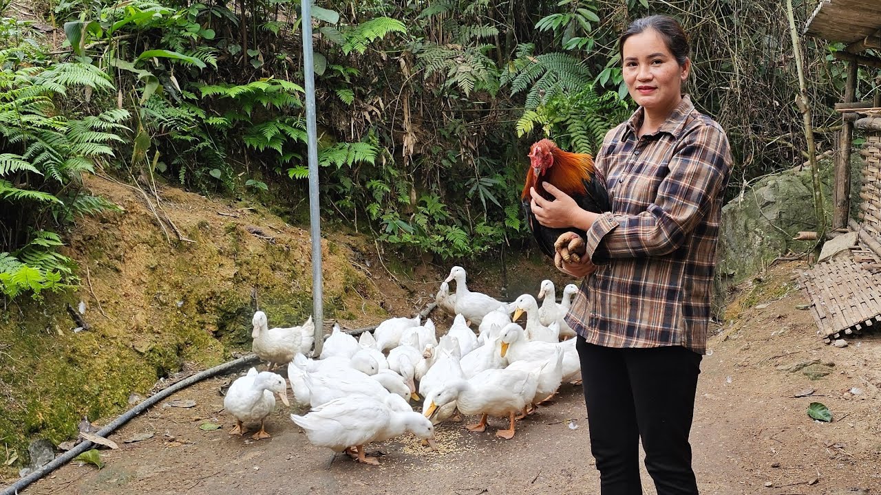 Unloading and building new trellises to grow crops and sell ducks ...