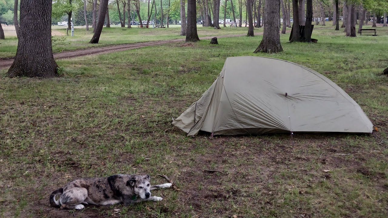 Where The Hell Did Cornelius VanGO?? S2 E 5 - YouTube