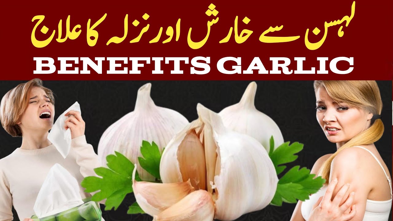 Lehsun Ke Fawaid | Benefits of Garlic | Lehsun Ke Fayde || Gharelu Ilaj ...