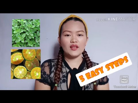 Gamot sa halak at ubo / paano ito maiiwasan - YouTube