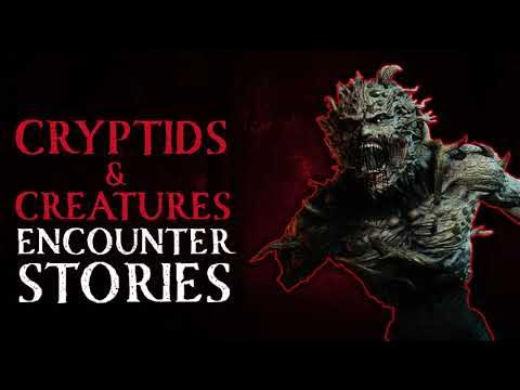 SCARY CREATURES AND CRYPTID ENCOUNTER STORIES - YouTube
