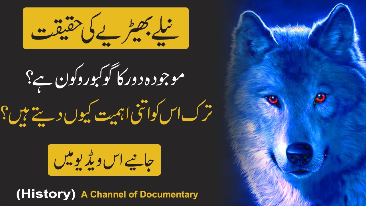 Gokboru In Kurulus Osman Season 2 | History Of Gokburu | Osman Ghazi ...