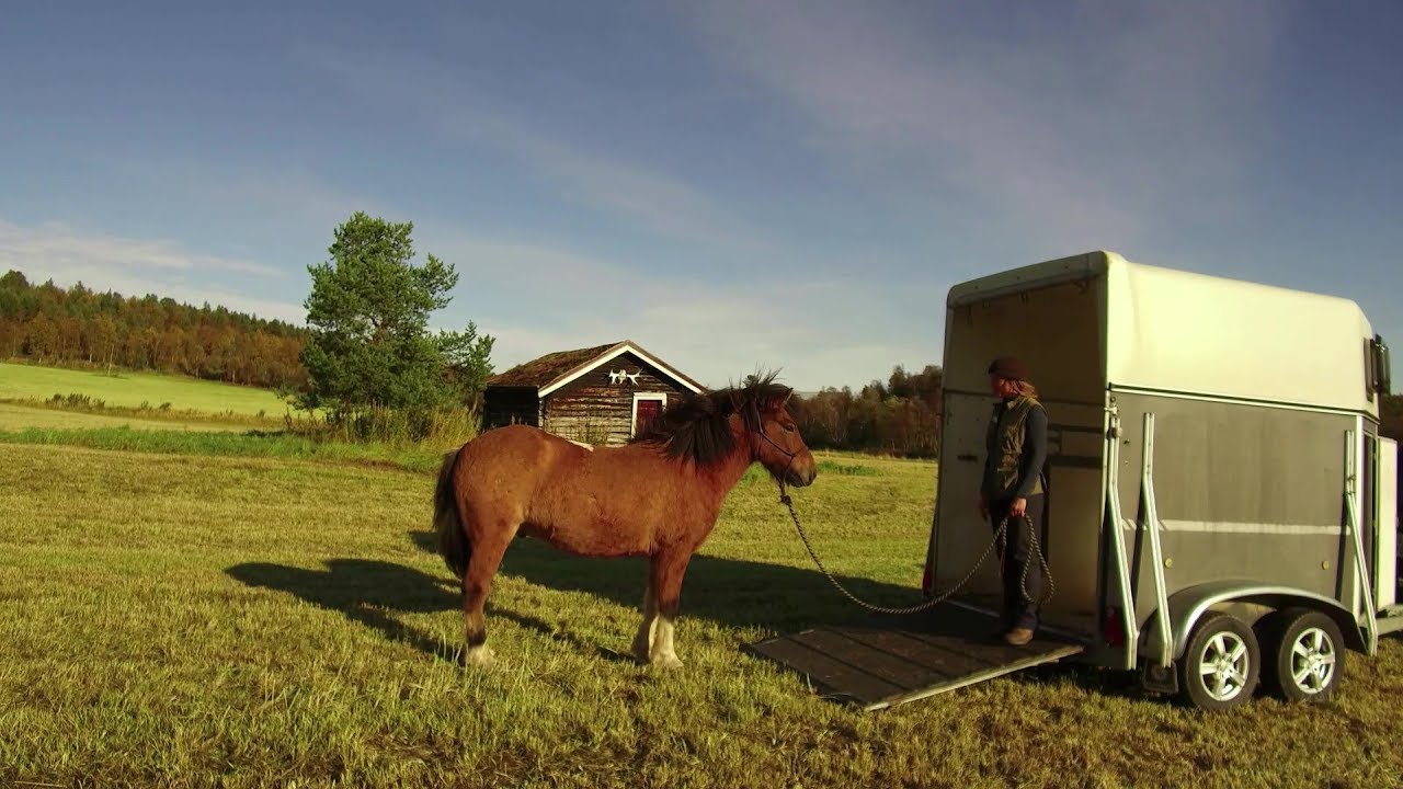 Trailer loading made easy