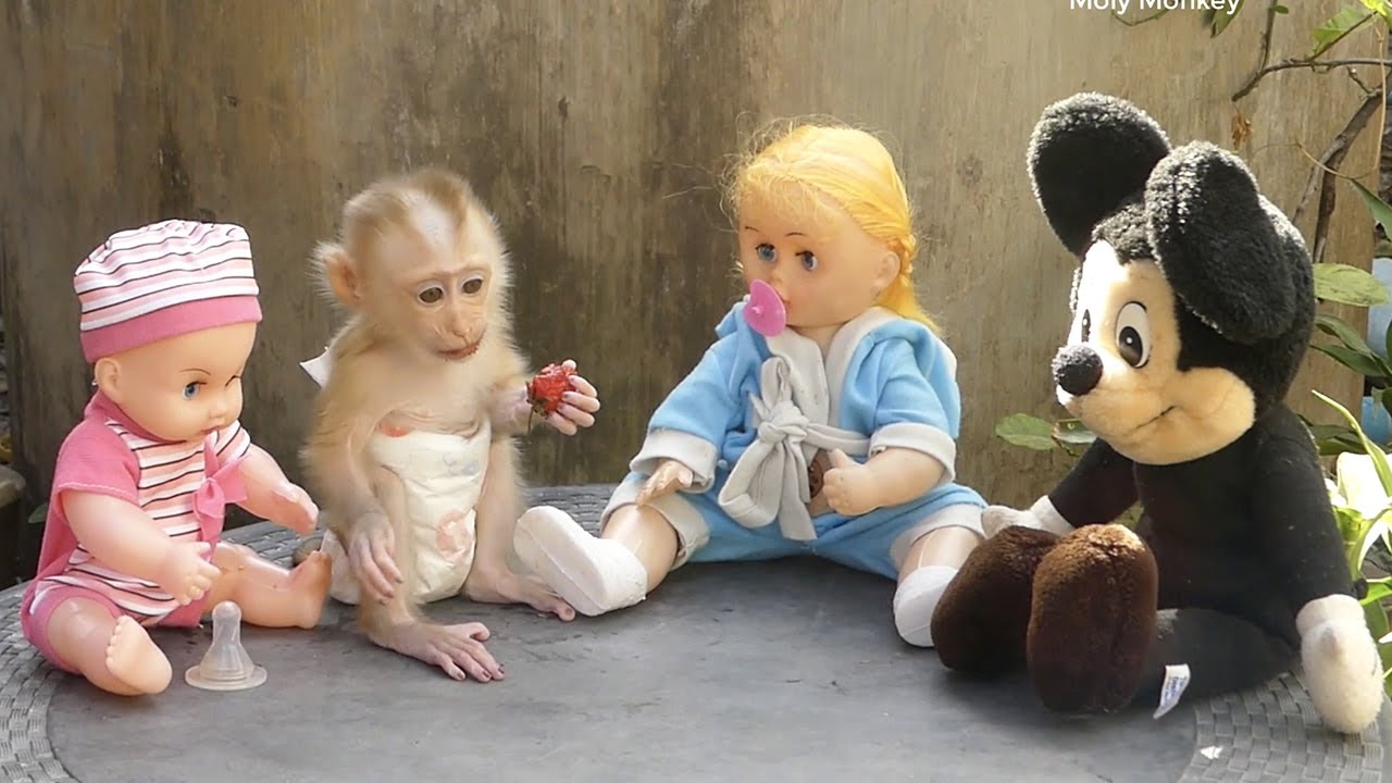 Amazing Super Small Baby Moly With 3 Baby Doll Friend | Moly Sitting In ...