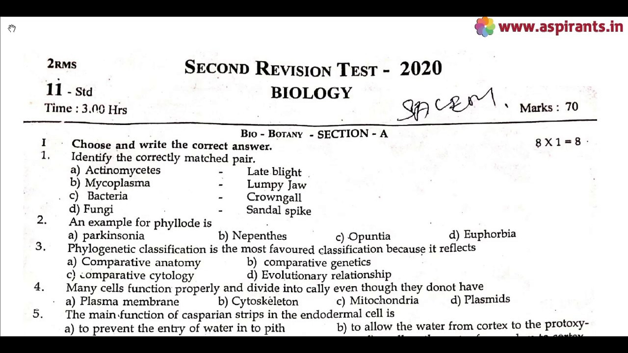 11th Biology Second Revision Question Paper 2019 2020 Salem District 11th-biology-second-revision-question-paper-2019-2020-salem-district