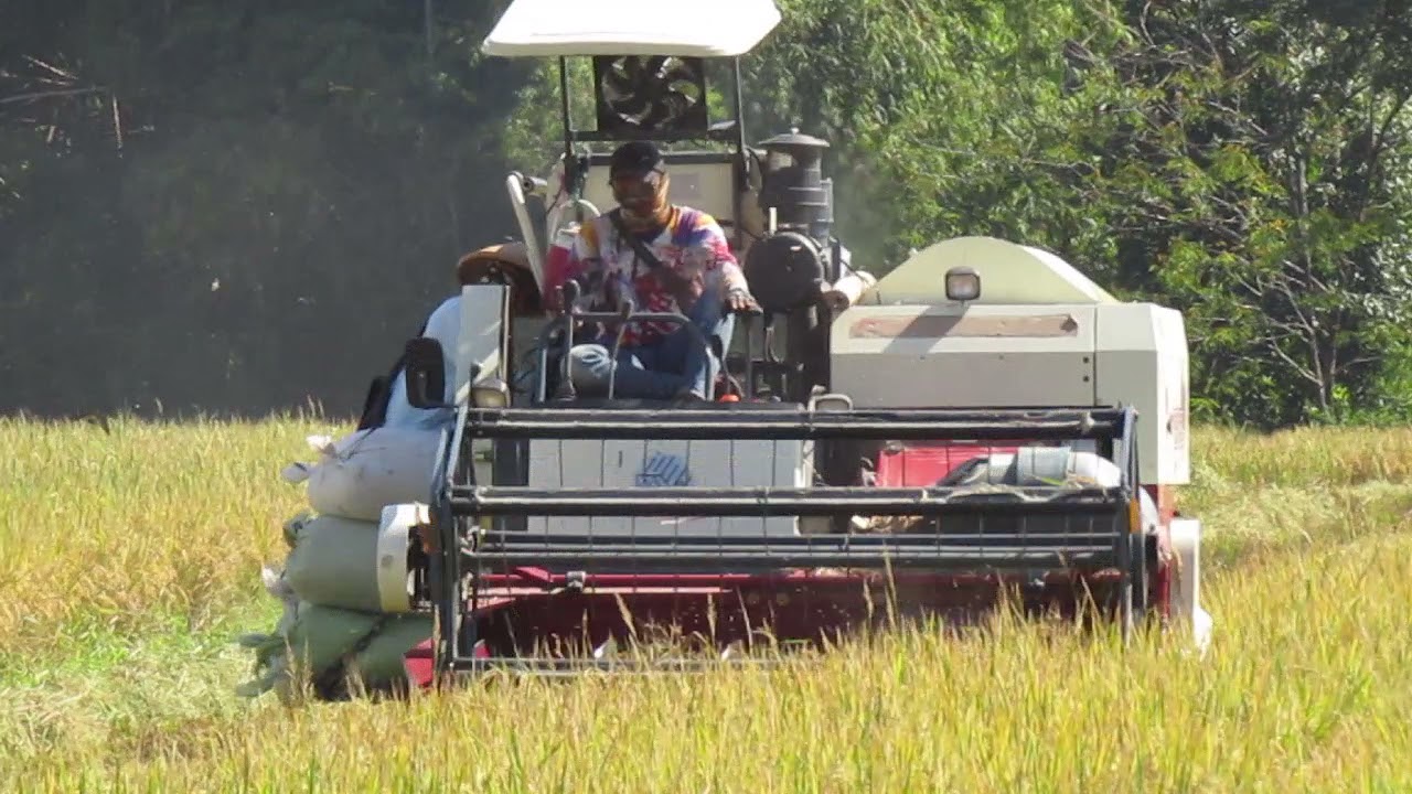 COMBINE HARVESTER BIMO 102 panen padi - YouTube