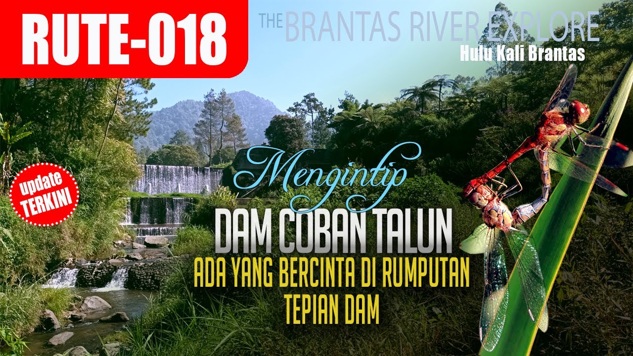 Rute 018 Dam Coban Talun Wana Wisata Coban Talun. ADA YANG BERCINTA DI ...