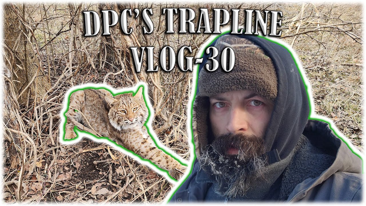 DPC'S Trapline Vlog-30 | 62nd-65th Checks(2 Predators) - YouTube