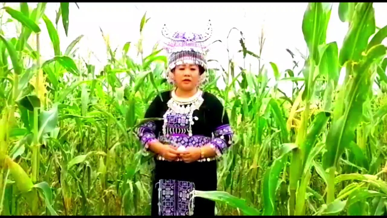 Paj huab cha vaj kwv txhiaj tsis sib tau hais tu siab heev 2020 - YouTube