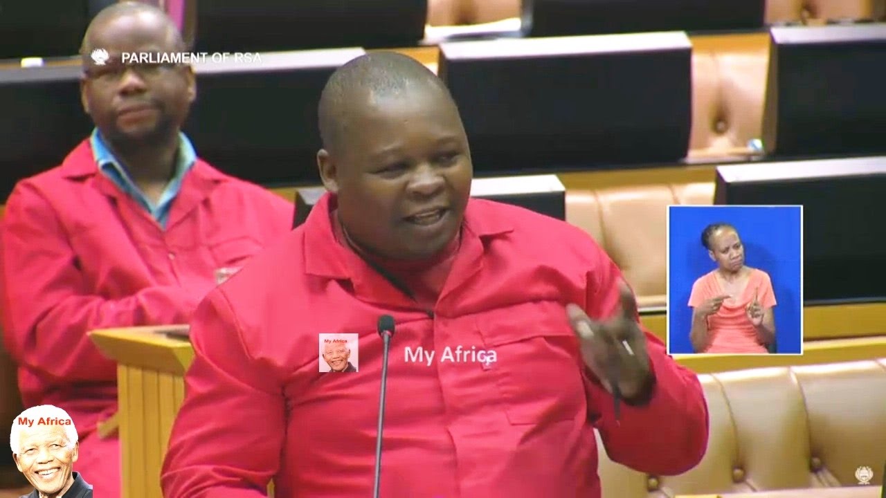 Chaos In Parliament AGAIN. EFF vs ANC and David Mahlobo - YouTube