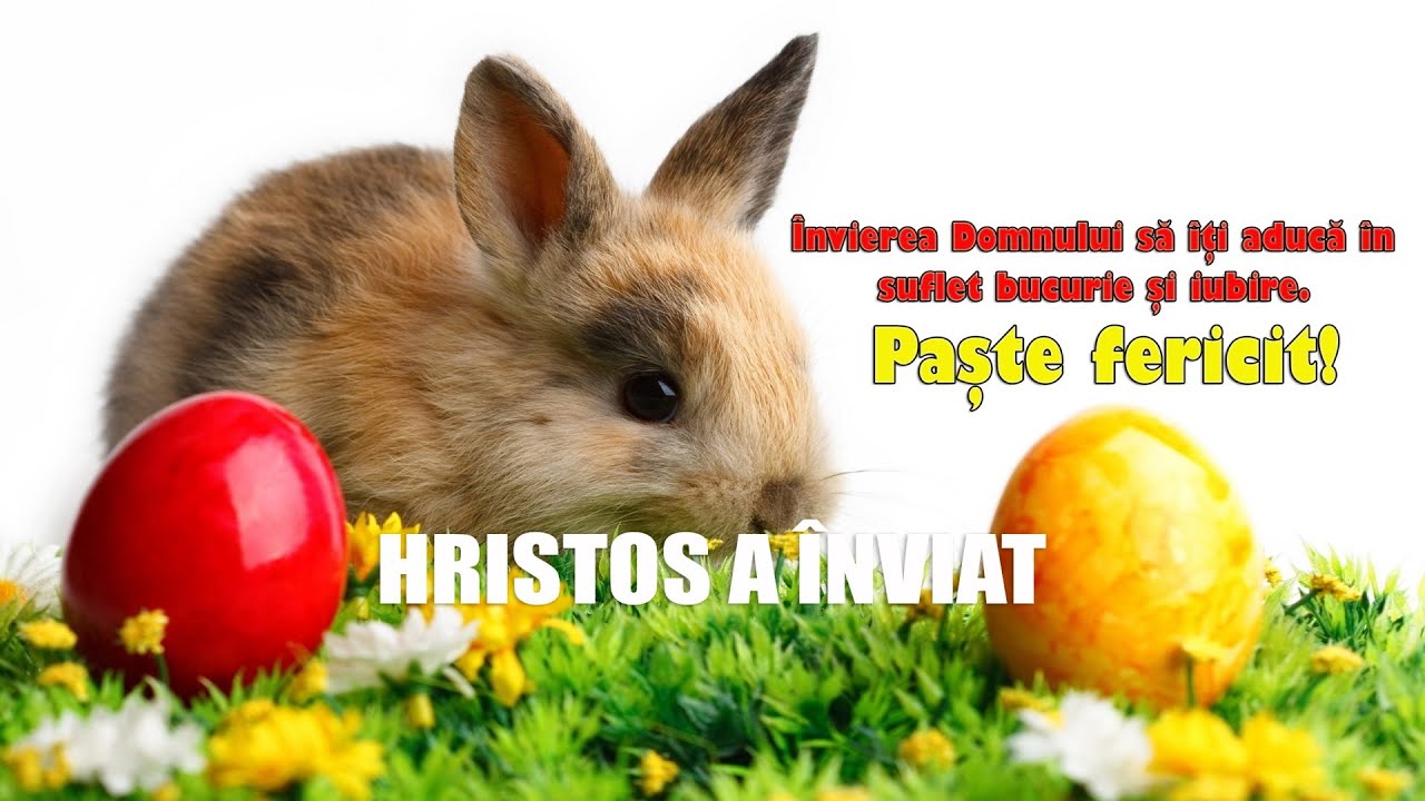 #𝟐8𝟎𝟏 # 𝐏𝐀𝐒𝐓𝐄 𝐅𝐄𝐑𝐈𝐂𝐈𝐓..! - YouTube