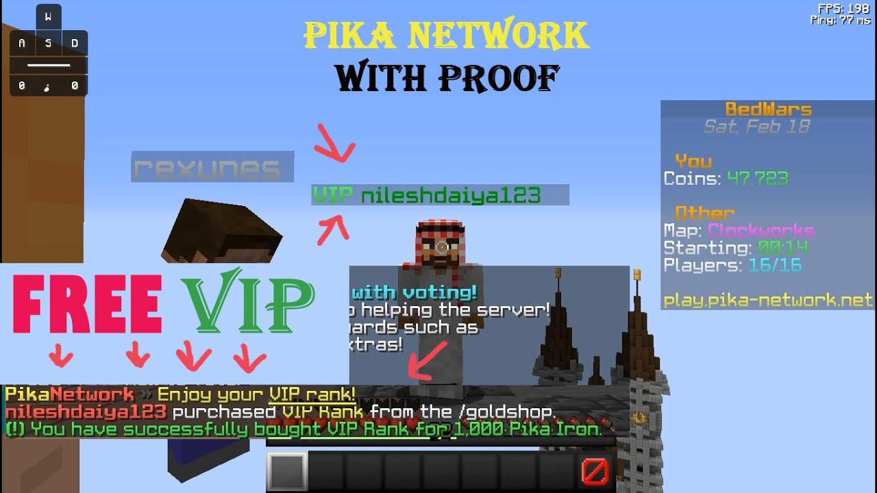 BUYING 'VIP' in Pika network. With Proof on camera. "Read Description ...