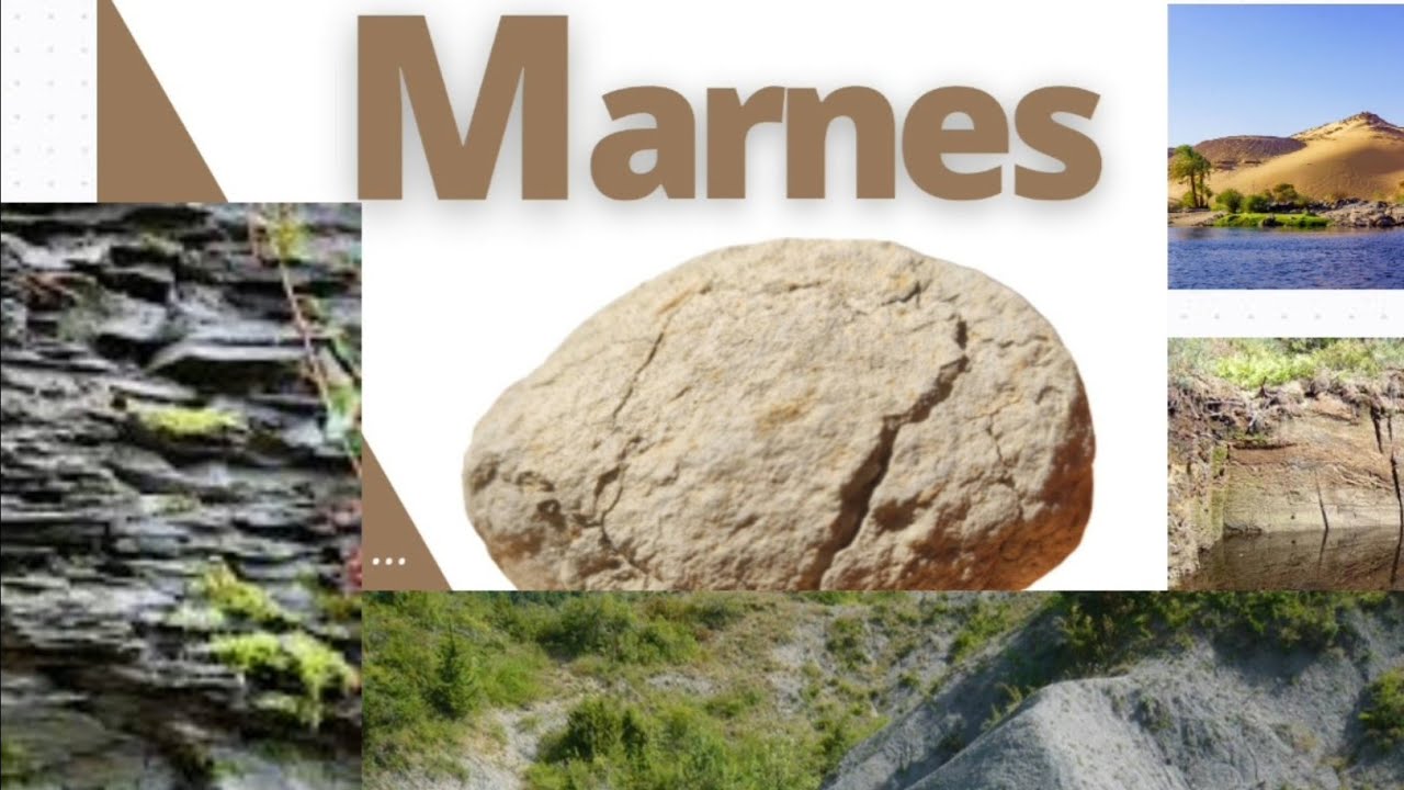 Les marnes : roches sédimentaires mixtes - YouTube