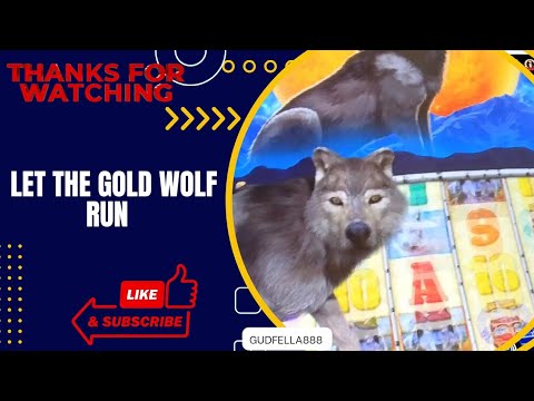 Let the Gold Wolf Run - YouTube