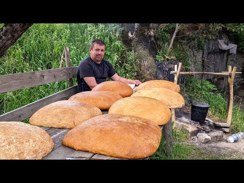 Dağlarda hayat. 50 kg geleneksel Hutsul inek peyniri yaptılar. Ukraynalı Karpat