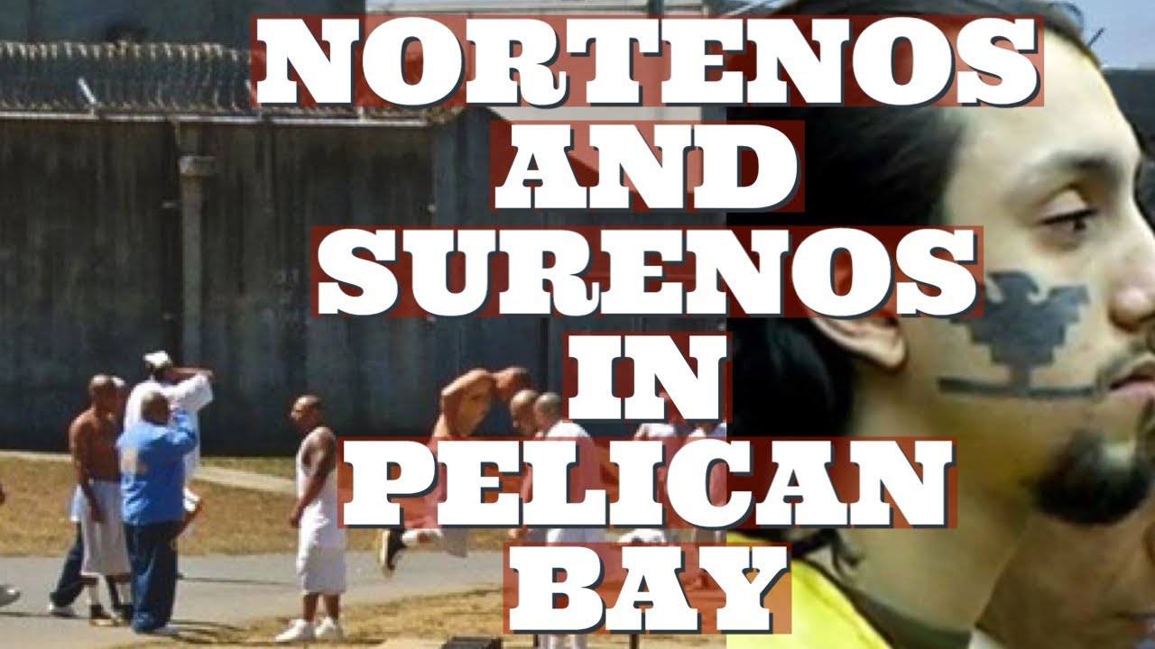 NORTENOS AGAINST SURENOS IN PELICAN BAY…THEY SAID IM GOING FOR THE ...