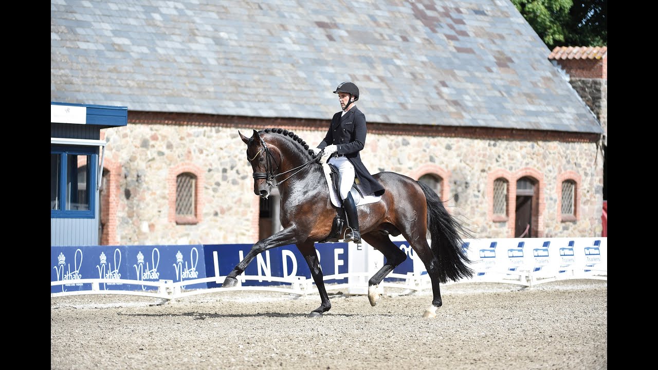 Revolution - Stallion Collection Schockemoehle & Helgstrand 2021 ENG ...