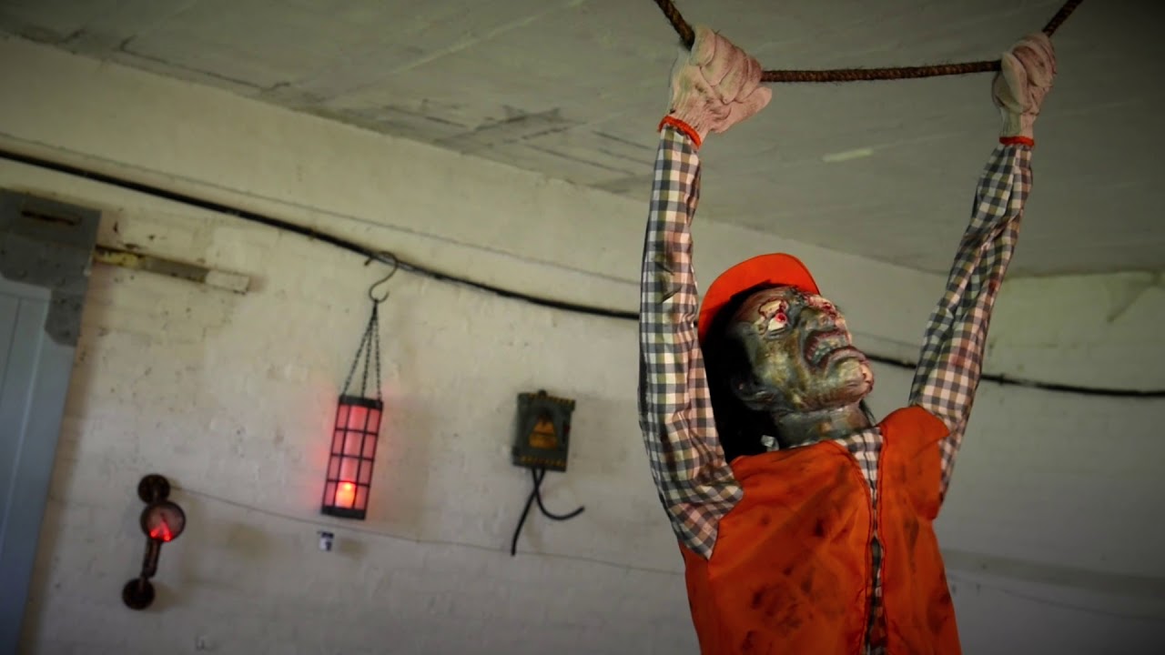 FESTI - HALLOWEEN - AUTOMATE - YouTube