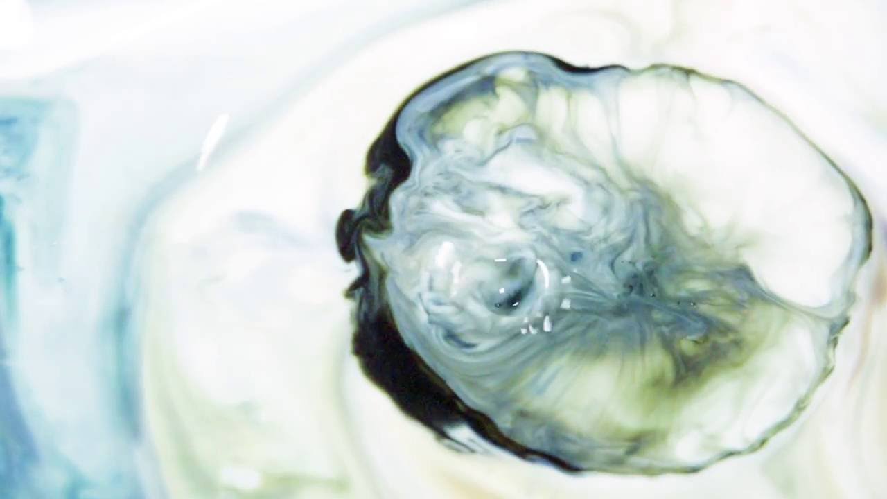 NO HUMAN CONTACT - INFECTION (OFFICIAL VIDEO) - YouTube