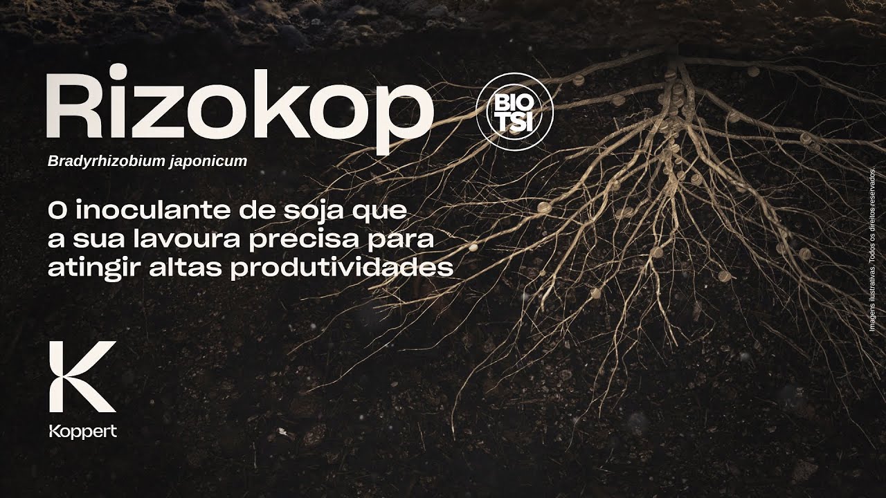 Rizokop: O inoculante de soja que sua lavoura precisa para atingir altas produtividades - YouTube