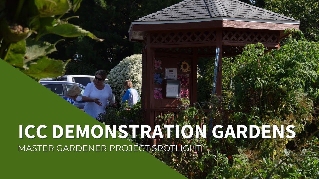 Master Gardener Project Spotlight - ICC Demonstration Gardens - YouTube