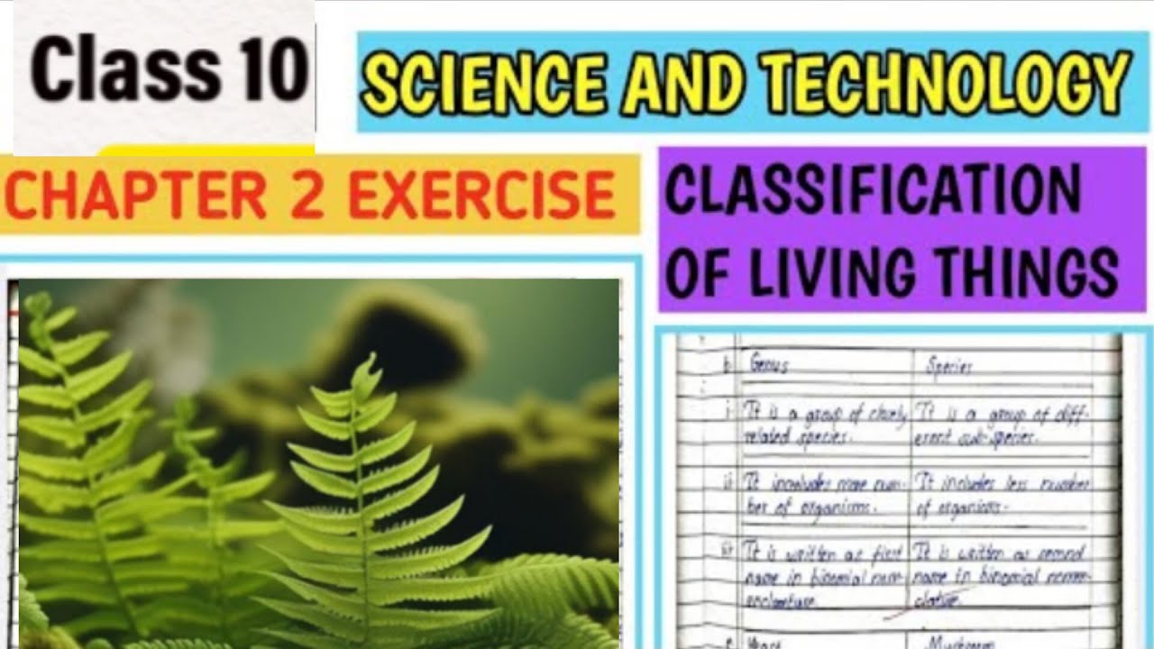 Class 10 Science Chapter 2 Exercise YouTube Class 10 Science Chapter 2 Exercise YouTube