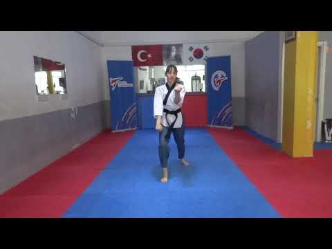 FİNAL 1 - EZGİ HOCAOĞLU - EGE BÖLGESİ ONLİNE POOMSAE ŞAMPİYONASI - NOVA SPOR KULÜBÜ #NOVASPORKULÜBÜ