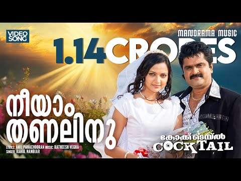 Neeyam Thanalinu  | Cocktail | Video | Jayasurya | Anoop Menon | Arun Kumar Aravind | Vijay Yesudas