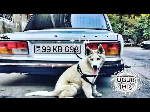 Azeri.bass.qəmli.rep.axtatdınız.rep