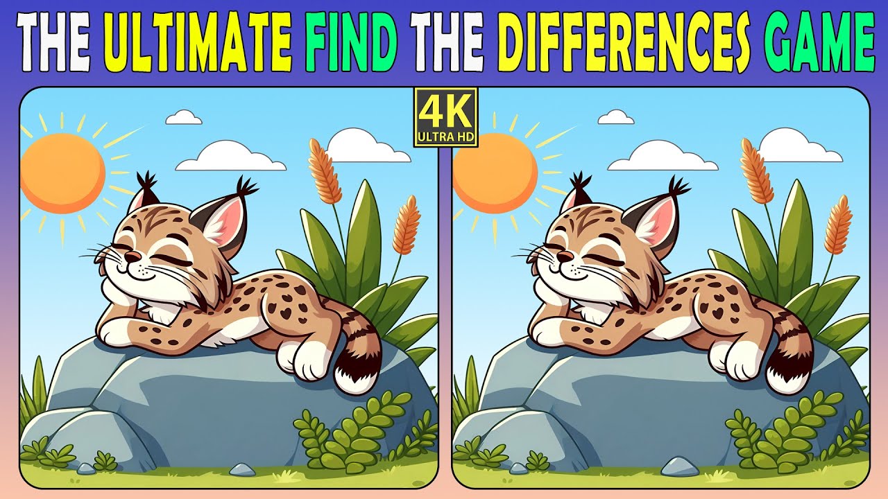 Find The Difference Game : Puzzle Game [ Spot The Differences #264 ...