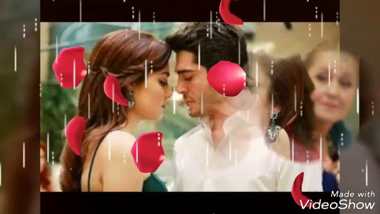 Sweet status WhatsApp ️ ️💟🌷🌷 video love - YouTube