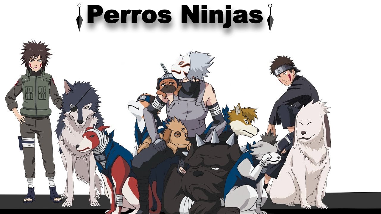 Explicación: Perros Ninjas de Naruto Sorprendentes - Naruto - YouTube
