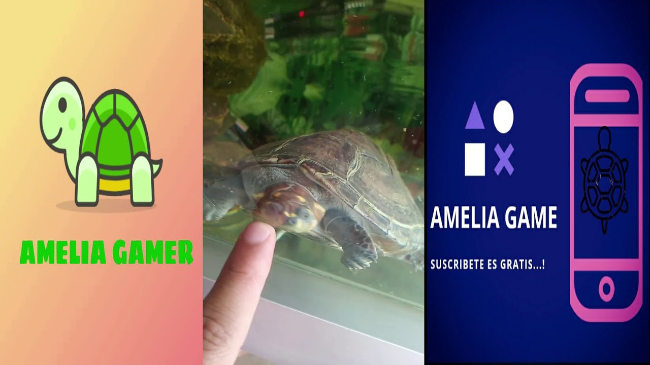 AmeliaGame Juegos en Android - YouTube