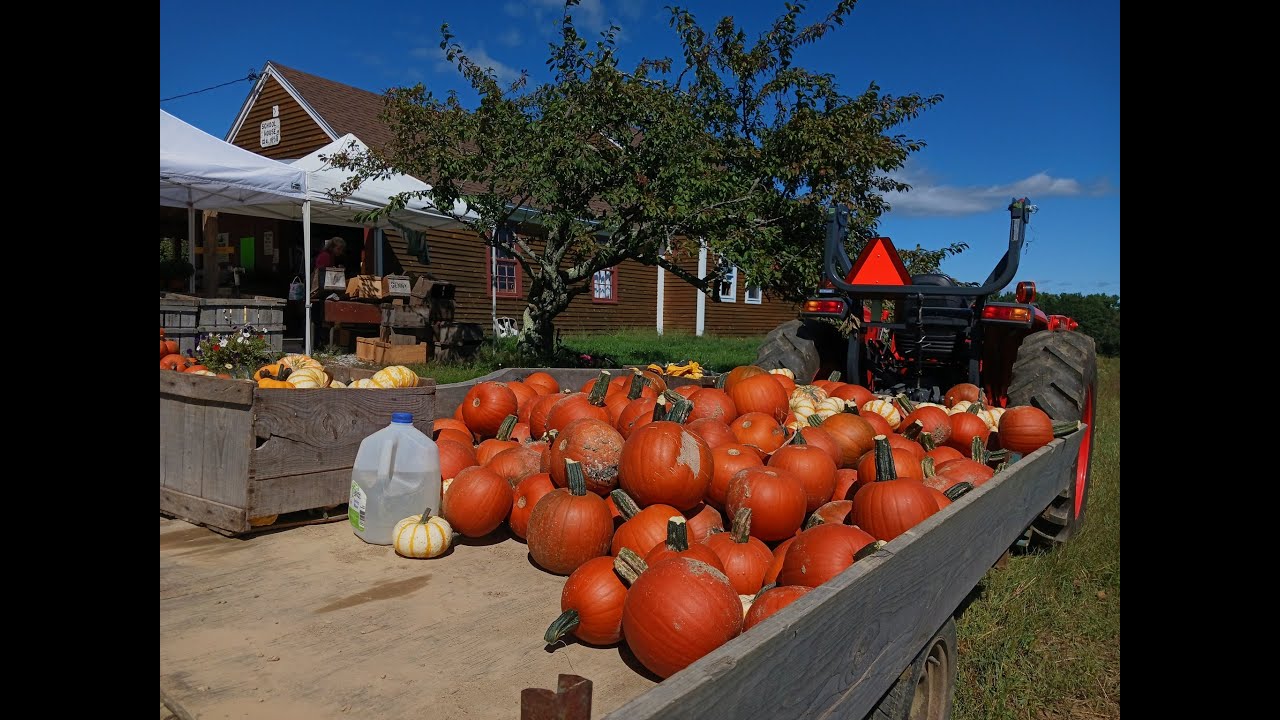 Schoolhouse Farm Pumpkins in Warren, ME - September 2022 - YouTube