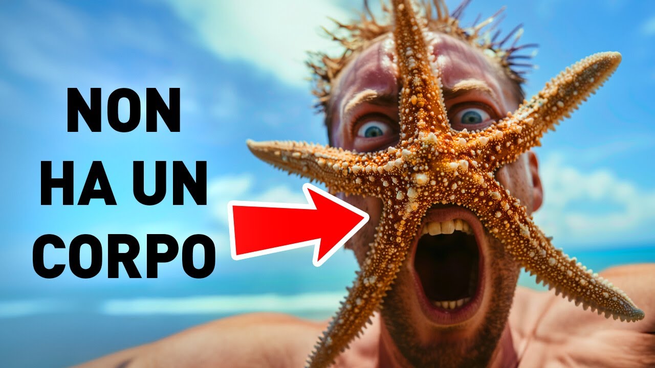 Le Stelle Marine sono Teste che Possono Strisciare + Altri Fatti ...