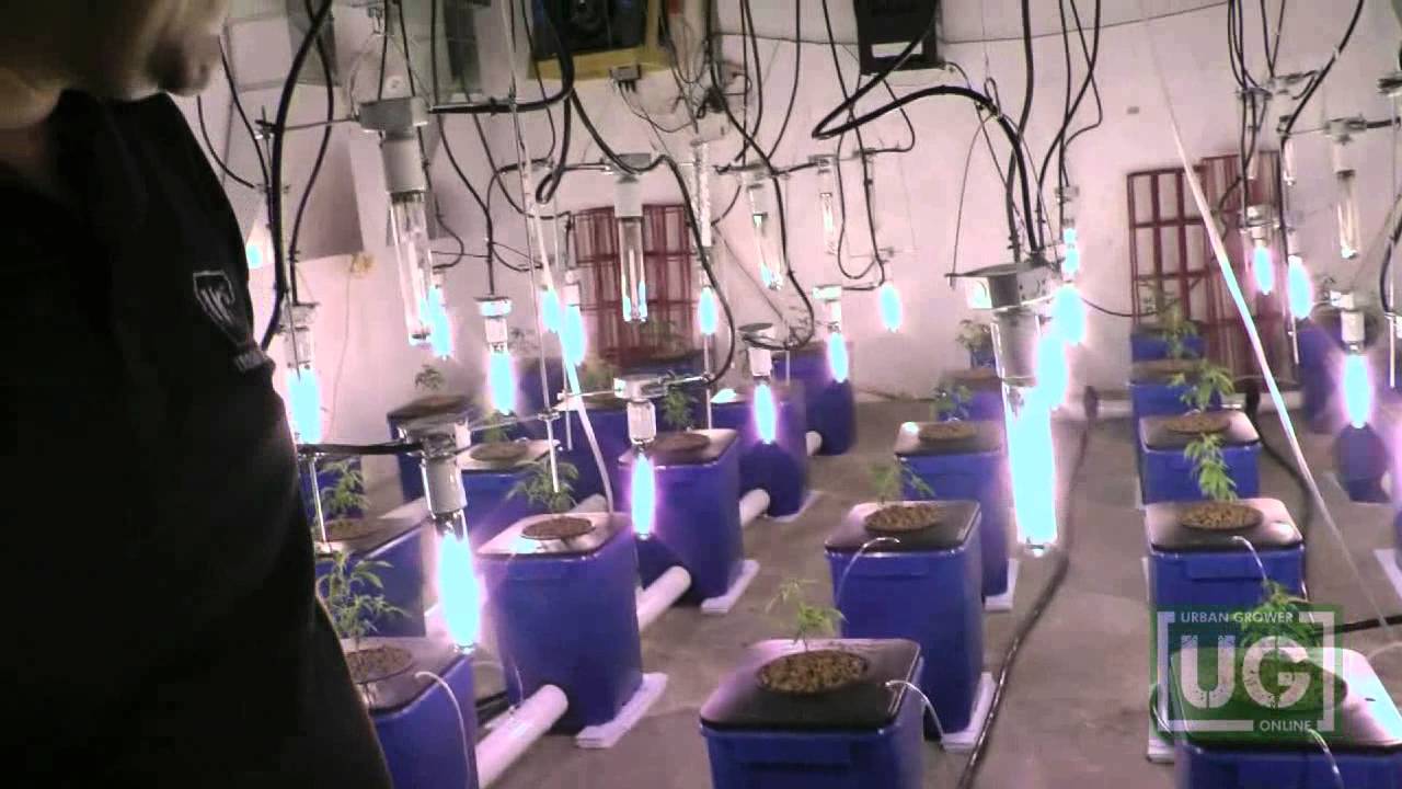 UG 69 Under Current Hydroponic System part 1 - YouTube