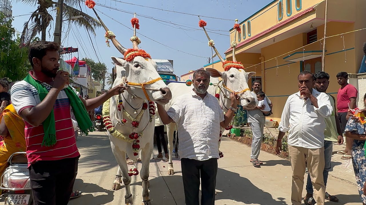 Madiwaladha Oora Habba #country #festival - YouTube