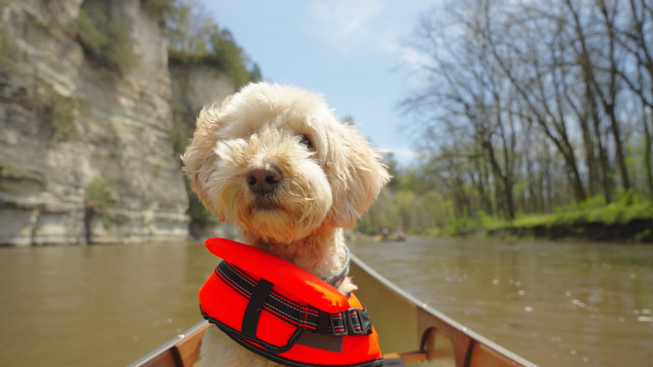 Canoeing the Cliffs of the Upper Iowa River - YouTube