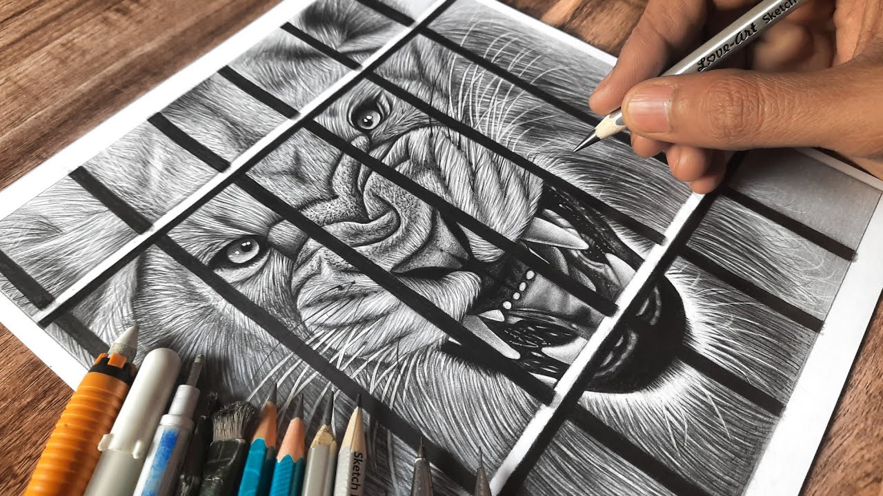 Drawing Lion Realistic Drawing Time Lapse Youtube